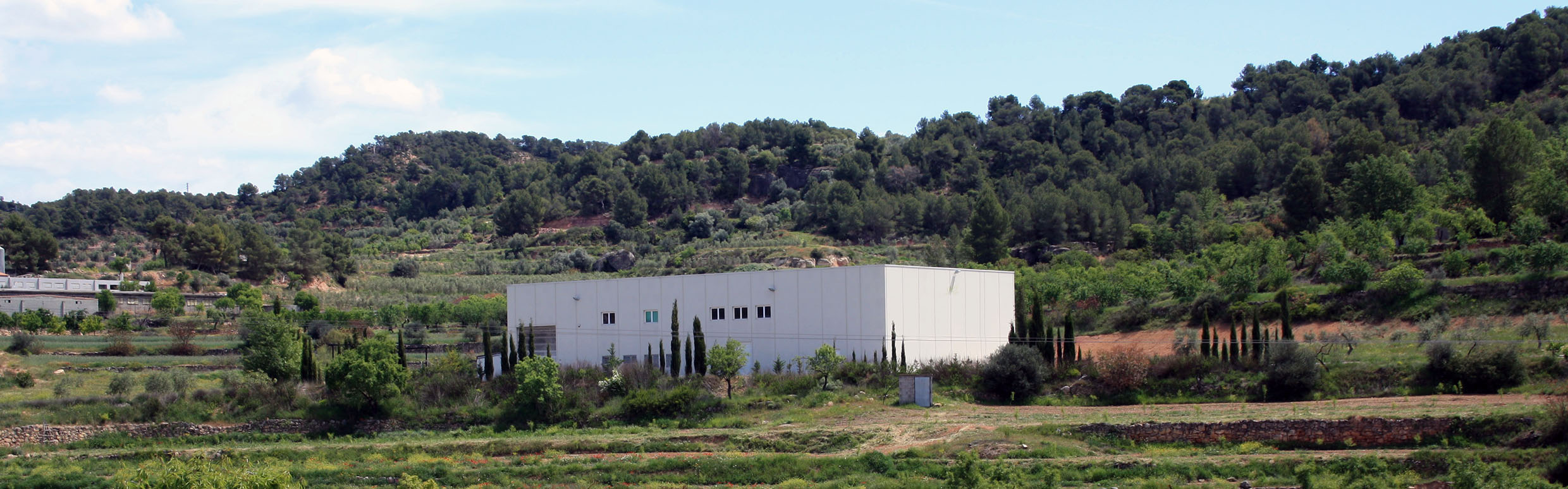 Zenat - Productores y Distribuidores de Aceites Vegetales